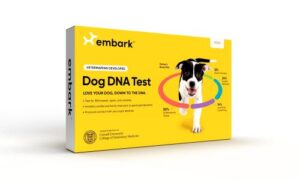 Top 50 Most Popular Dog Breeds - DOG NEWS & GUIDE